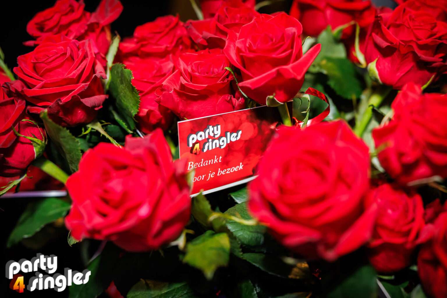 home - Party4singles